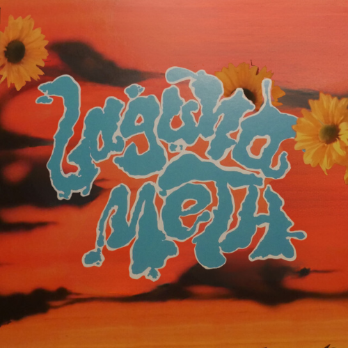 Official Laguna Meth Merch – Laguna Meth Store